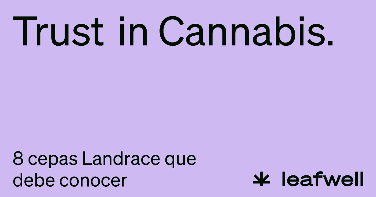 8 cepas Landrace que debe conocer - Leafwell